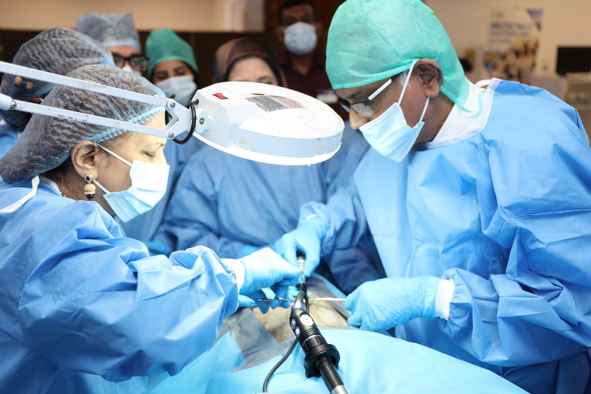 Laparoscopy (Basic & Intermediate)